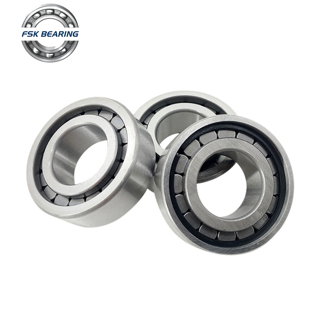 Full Complement 1115541 Cylindrical Roller Bearing Differential Parts