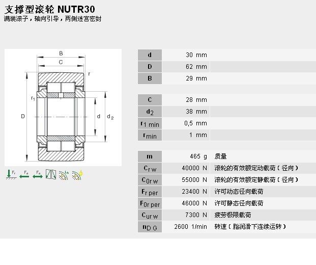 Double Row Full Complement NUTR30 Needle Roller Bearings 30 × 62 × 29mm