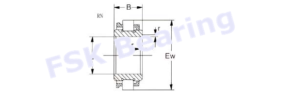 Eccentric RN205M Cylindrical Roller Bearing Brass Cage for Reduction Box