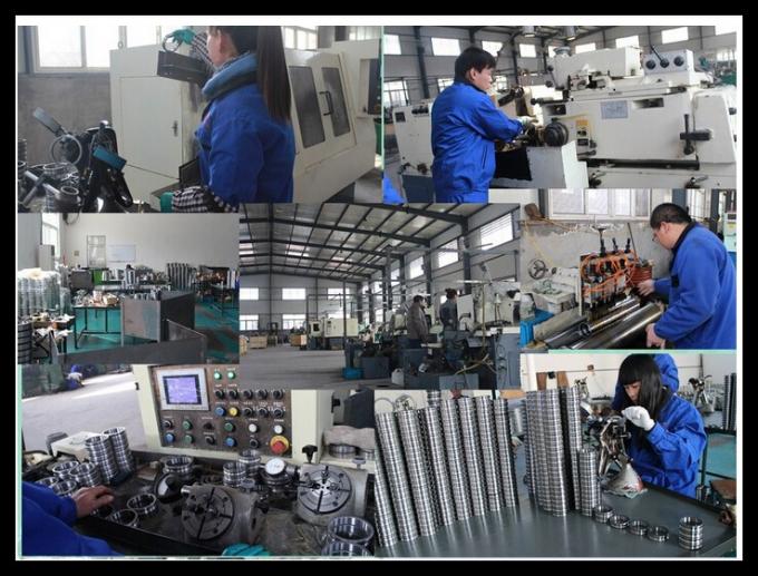 No Outer Ring RN206M Eccentric Cylindrical Bearings Catalog for Reducer ...